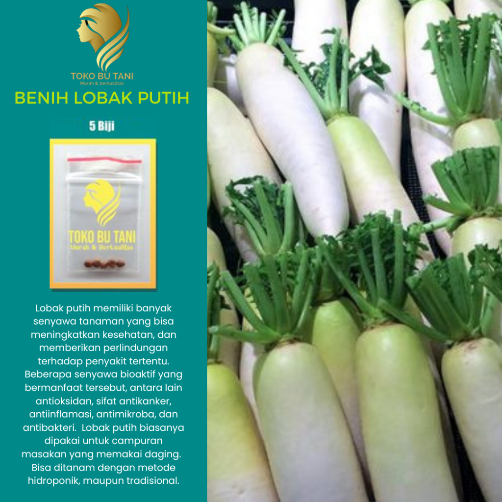 Jual BTN Benih Lobak Putih F1 Hibrida Ming Ho Sayuran Known You Seed ...