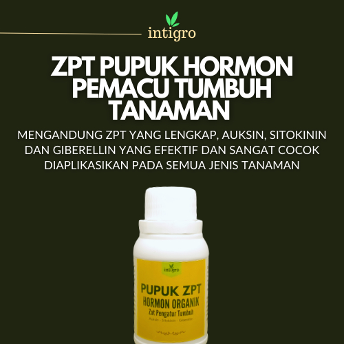 Jual Pupuk ZPT Pelebat Buah Pemacu Tumbuh Akar Bunga Daun Batang ...