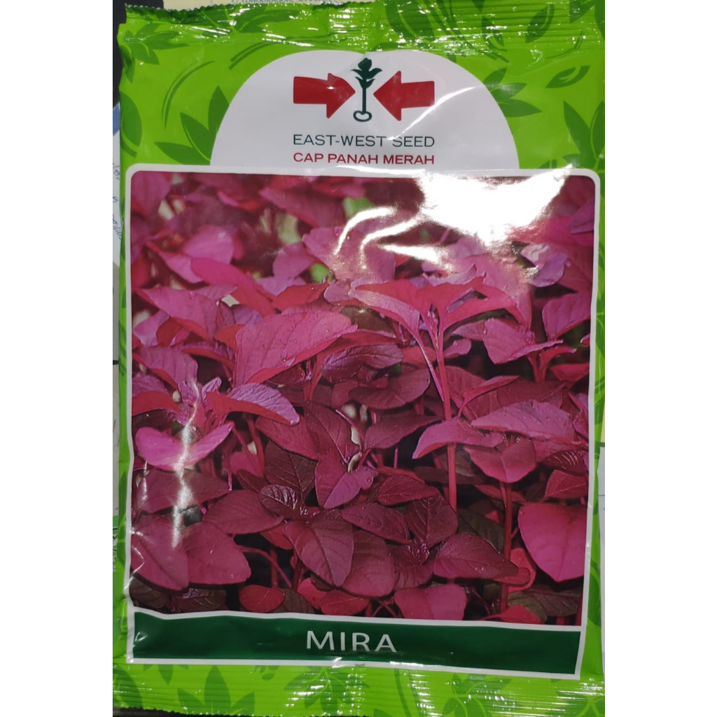Jual Benih Bayam Merah Cap Panah Merah varietas Mira 500gr | Shopee ...