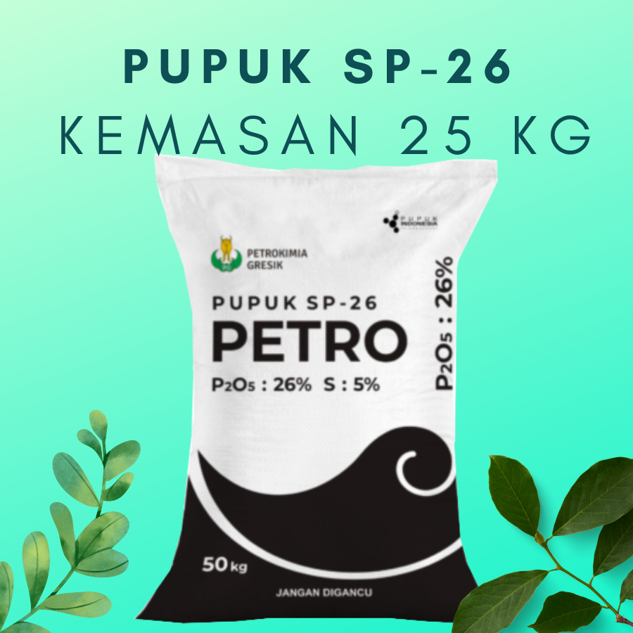 Jual Pupuk SP-26 PETRO Original Kemasan Repack 25KG Murah Memperbaiki Warna Aroma Rasa dan Besar ...