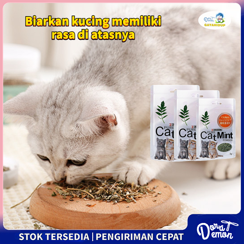 Jual TRS Catnip catmint cat mint - PURE CATMINT POWDER - BIKIN FLY ... Jual TRS Catnip catmint cat mint - PURE CATMINT POWDER - BIKIN FLY ...