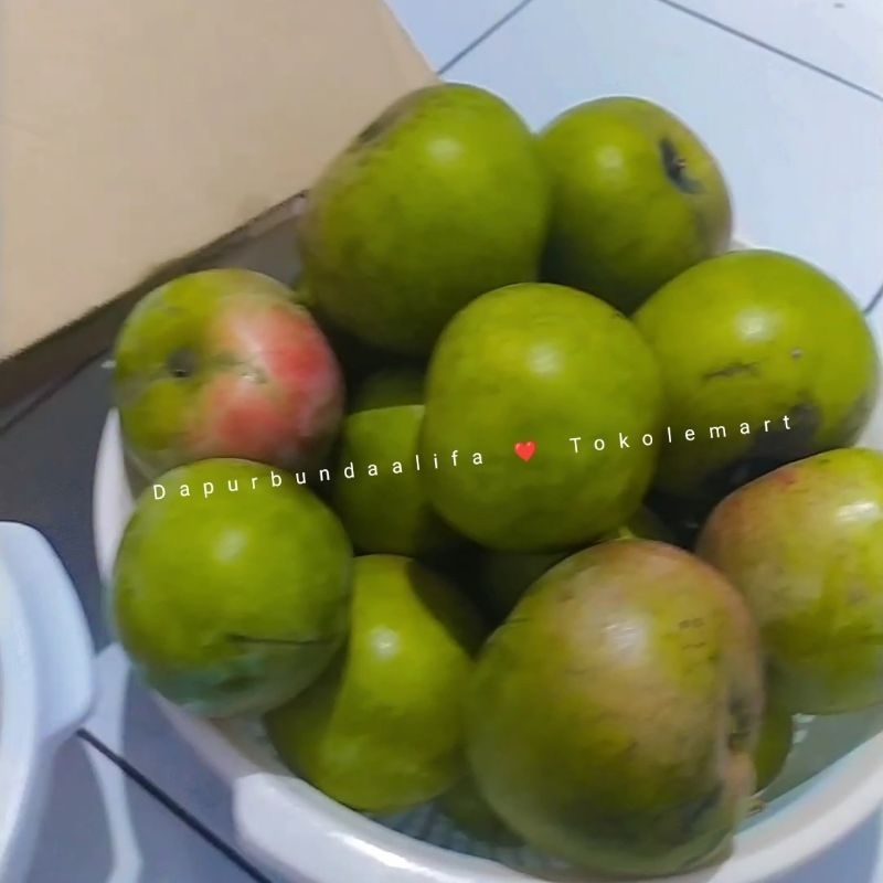 Jual Mangga Apel Muda Mengkal Asem Segar Fresh 1 KG cocok untuk Rujak ...