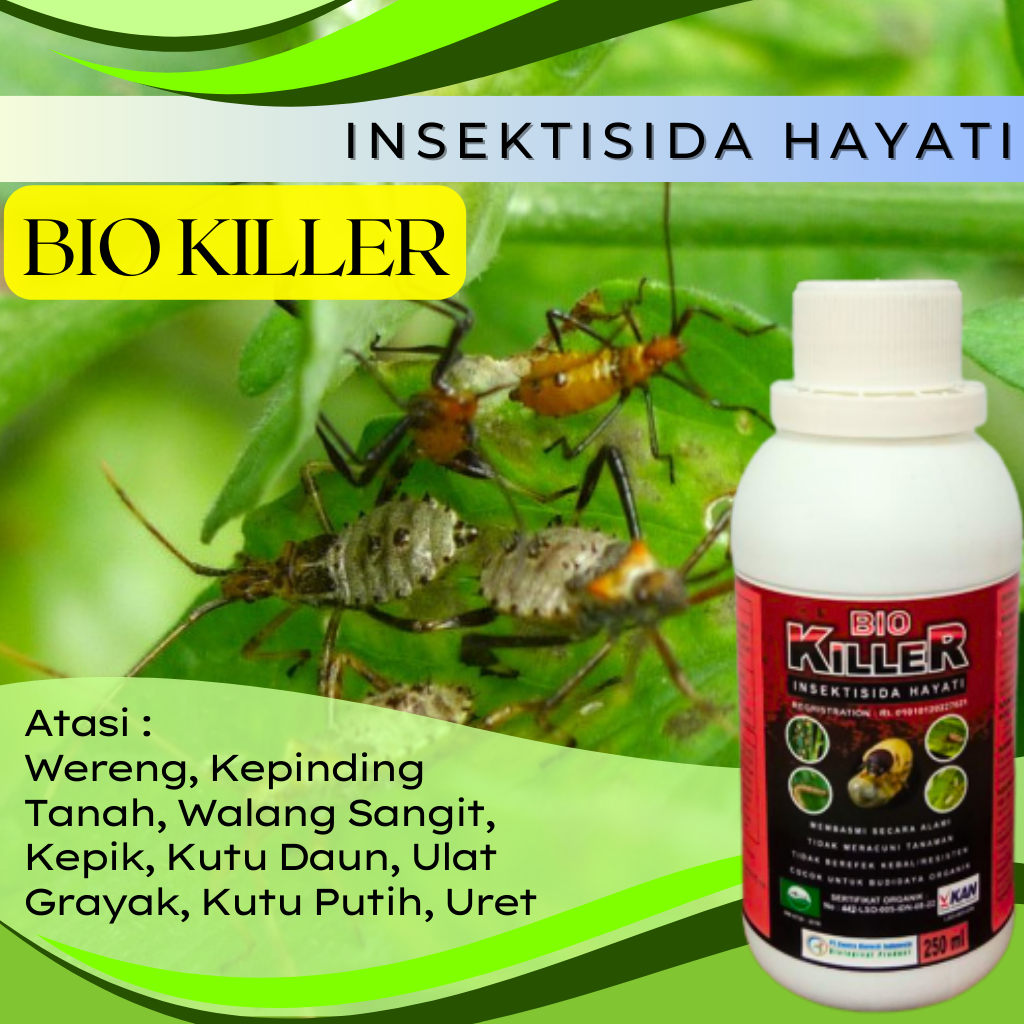 Jual Insekisida Pembasmi Hama Ulat, Obat Hama Wereng Coklat Pada ...