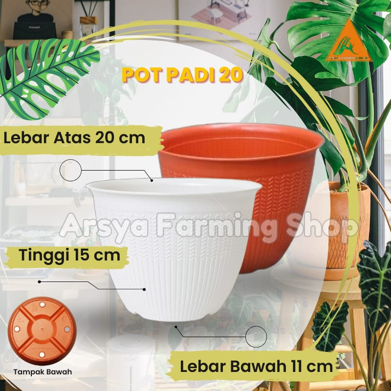Jual Pot Padi 20 - Pot Bunga Motip Padi - Putih | Shopee Indonesia