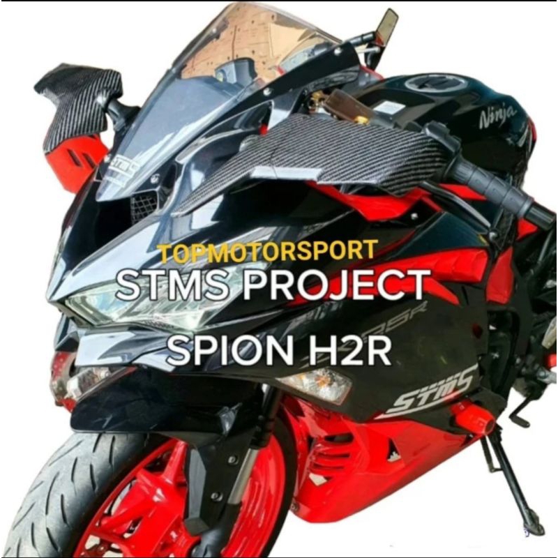 Jual SPION WINGLET FULL CARBON KEVLAR MODEL H2 ZX25R/CBR/X-MAX/NINJA ...