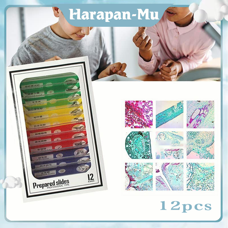 Jual 12pcs / Set Specimen Slides Preparat Mikroskop Portable Slides ...