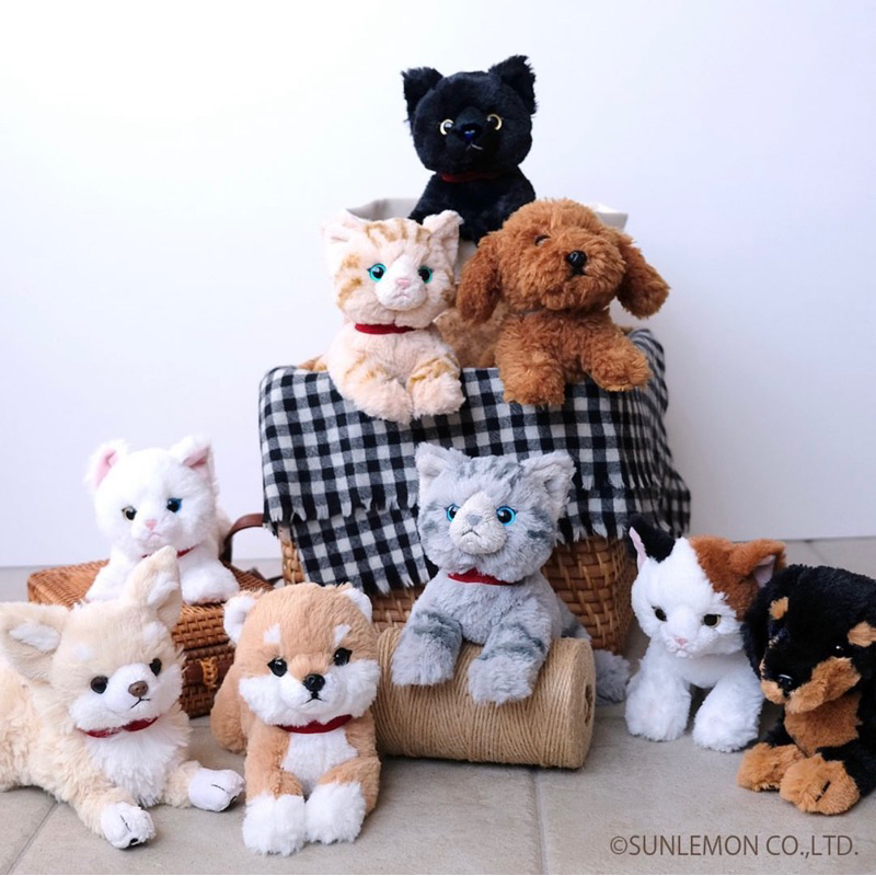 Jual Boneka kucing Brand Sunlemon Kucing XM | Shopee Indonesia