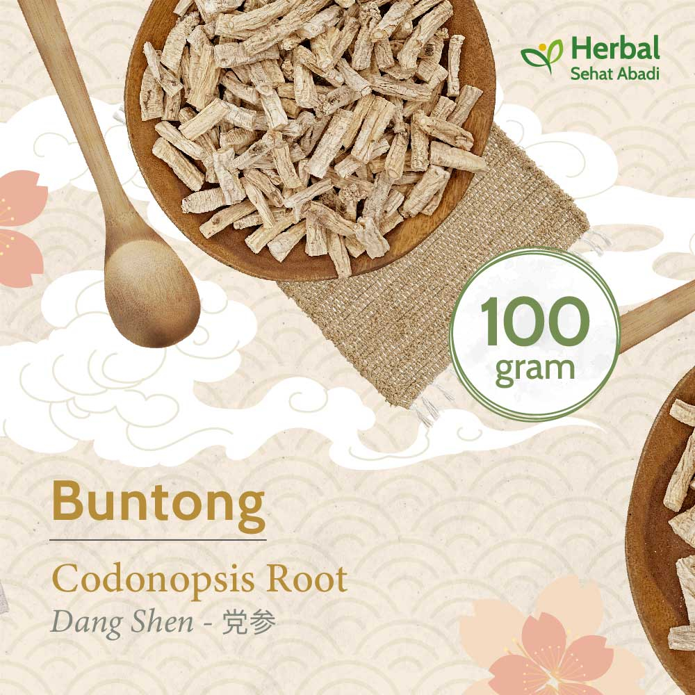 Jual Tong Sem 100 gram / Dang Shen (党参) / Tong Sim / Codonopsis Root ...