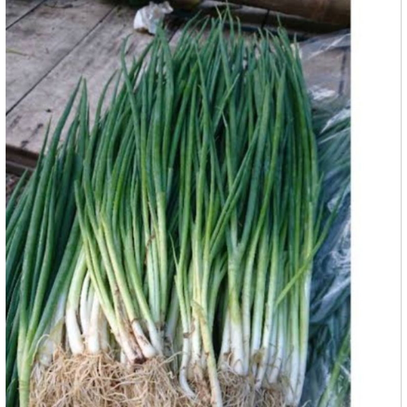 Shopee Indonesia | Situs Belanja Online Terlengkap & Terpercaya