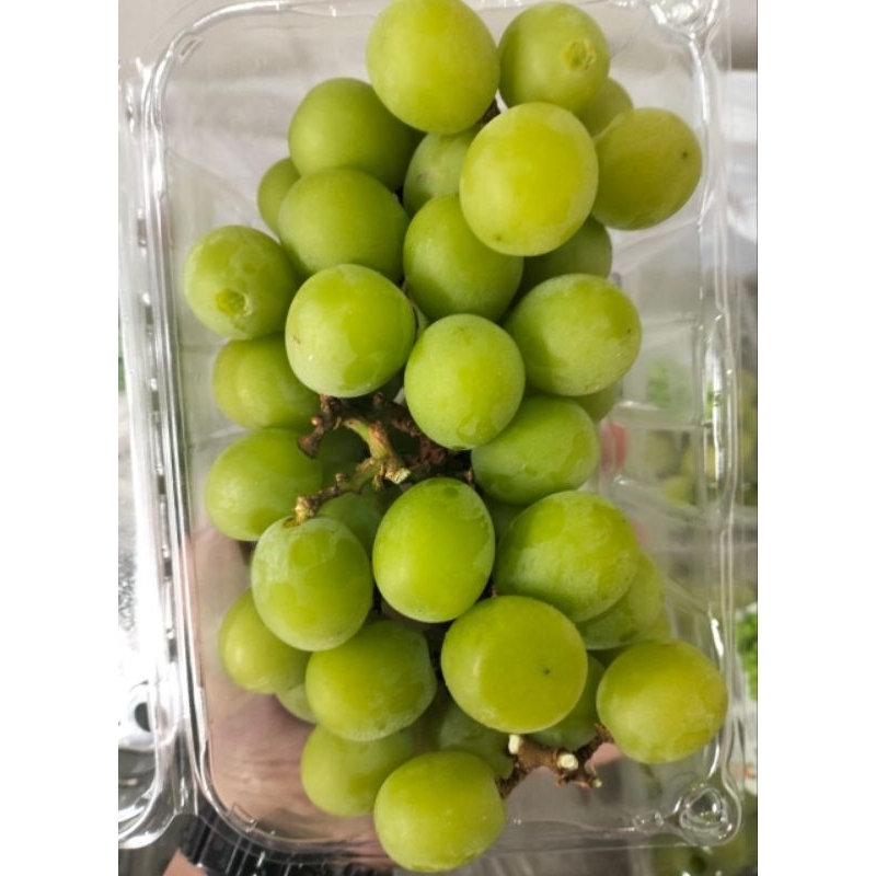 Jual Anggur Shine Muscat Per pack 500gram | Shopee Indonesia