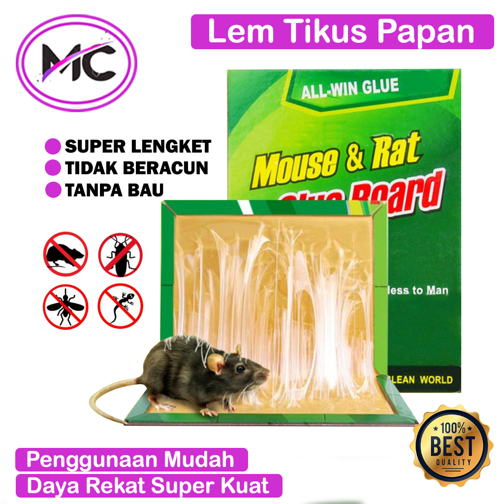 Jual Lem Tikus Papan Super Lengket Jebakan Tikus Jumbo Praktis ...