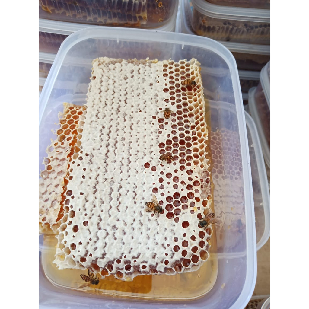 Jual Sarang Madu Mellifera 500 Gram Murni Budidaya Bee Wax | Honey Comb ...