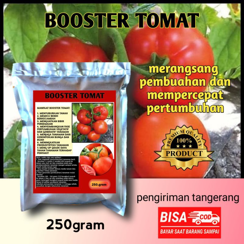 Jual pupuk booster pohon tomat perangsang buah melebatkan menyuburkan | Shopee Indonesia