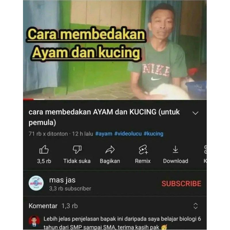 Jual kuci kuci dudul | Shopee Indonesia
