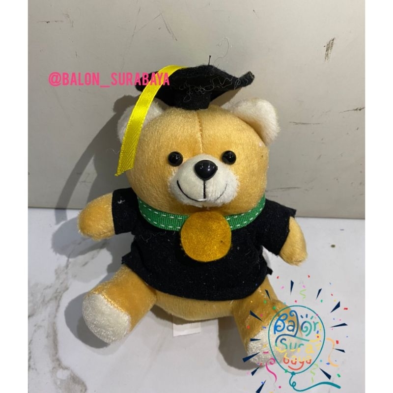 Jual Boneka Graduation / Boneka Wisuda Kecil | Shopee Indonesia