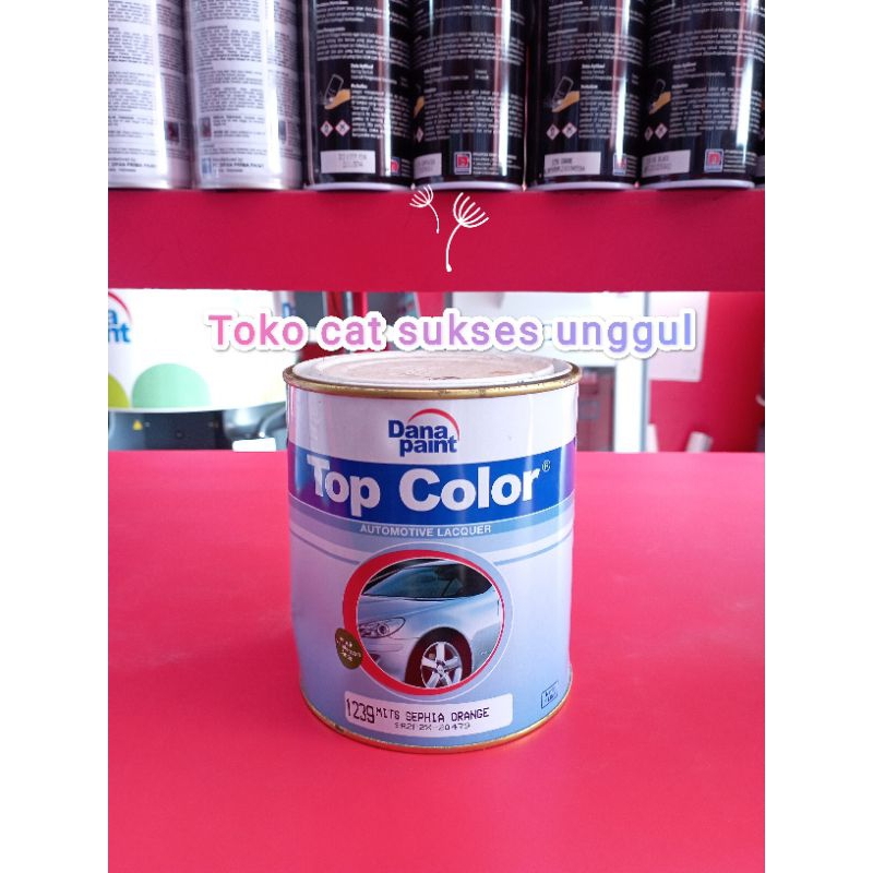 Jual Top Color Solid (Kg) | Shopee Indonesia