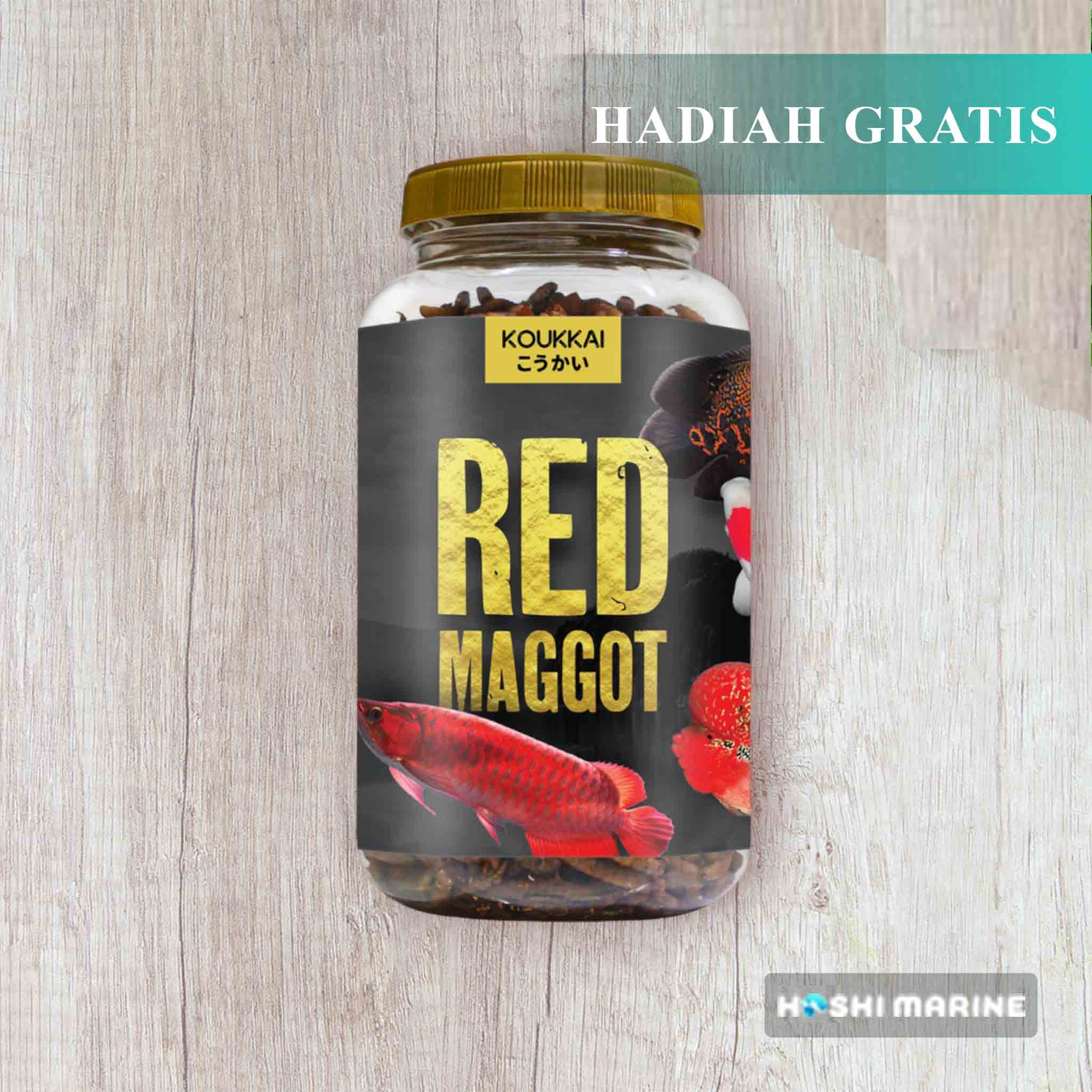 Jual Red Maggot with Beta-carotene KOUKKAI Pakan Ikan Predator | Shopee ...