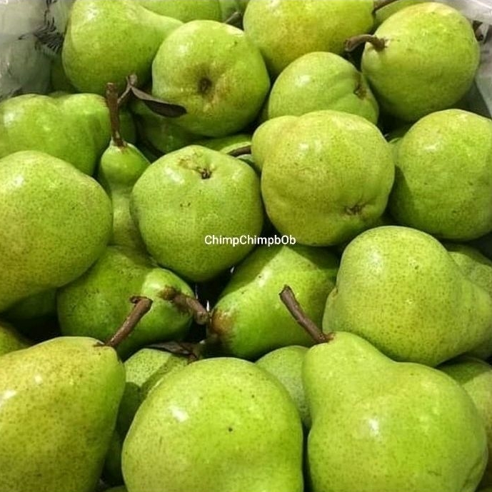 Jual BUAH PIR HIJAU SEGAR / PEAR PACKHAM / PIR JAMBU SEGAR | Shopee ...