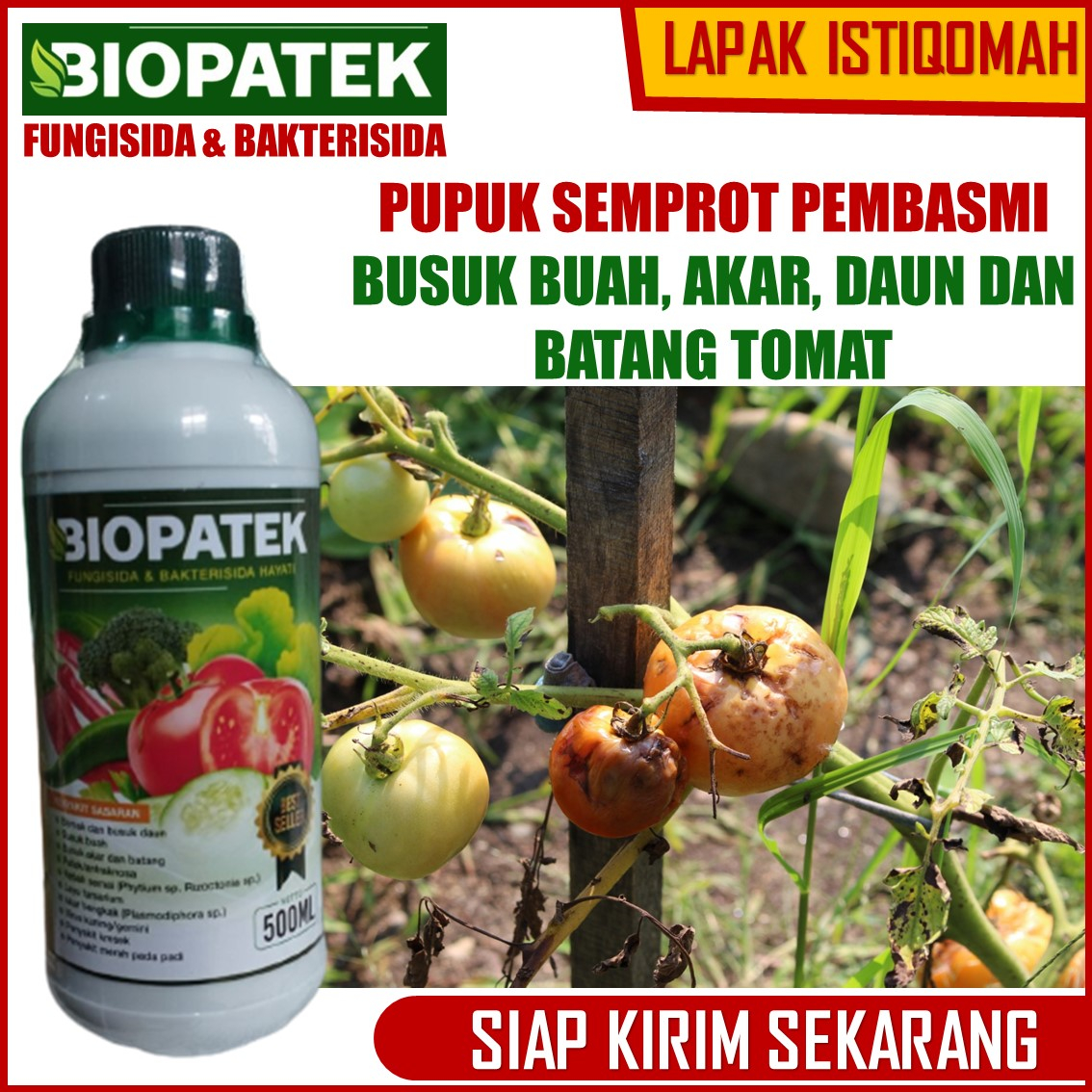 Jual Fungisida Hayati Obat Semprot BIOPATEK Mengatasi Hama Patek Pada ...