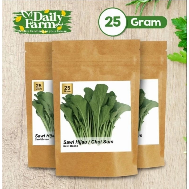 Jual Benih Sayur Sawi Hijau / Choi Sum / Sawi Bakso ( 25 Gram ) | Shopee Indonesia