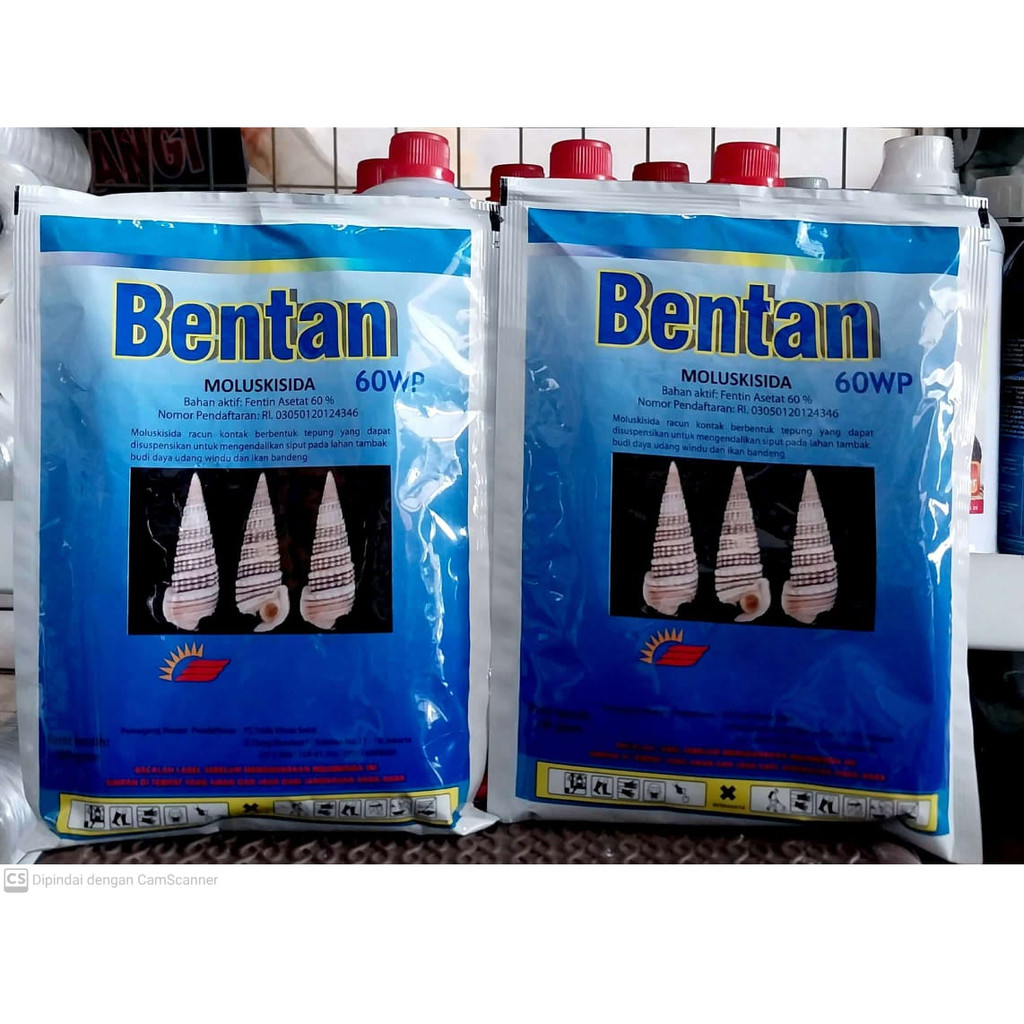 Jual Bentan Moluskisida 100 gram | Shopee Indonesia