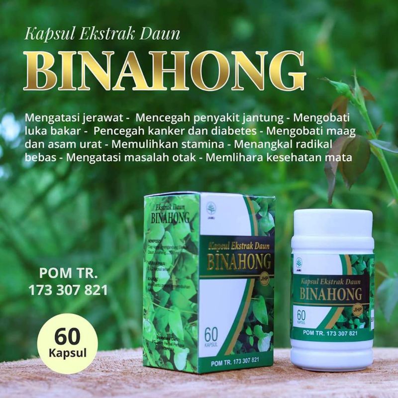 Jual BINAHONG (Kapsul ekstrak daun binahong) | Shopee Indonesia