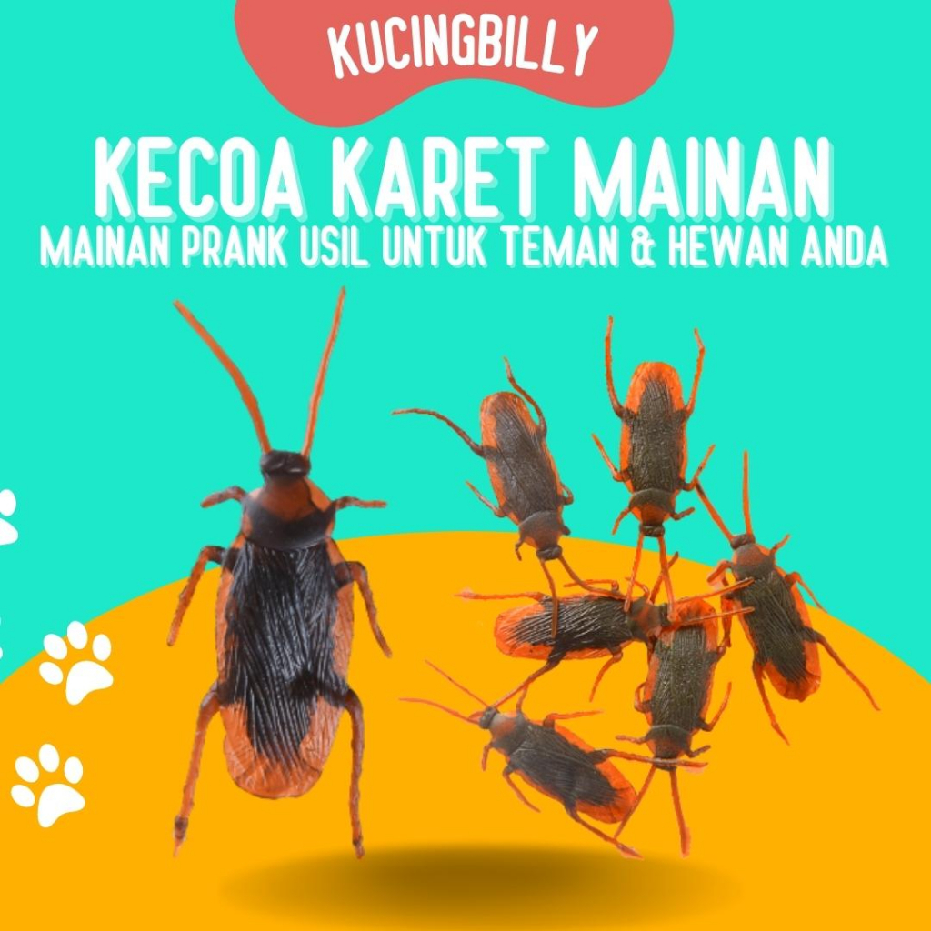 Jual Kecoa karet mainan kucing kecoak | Shopee Indonesia