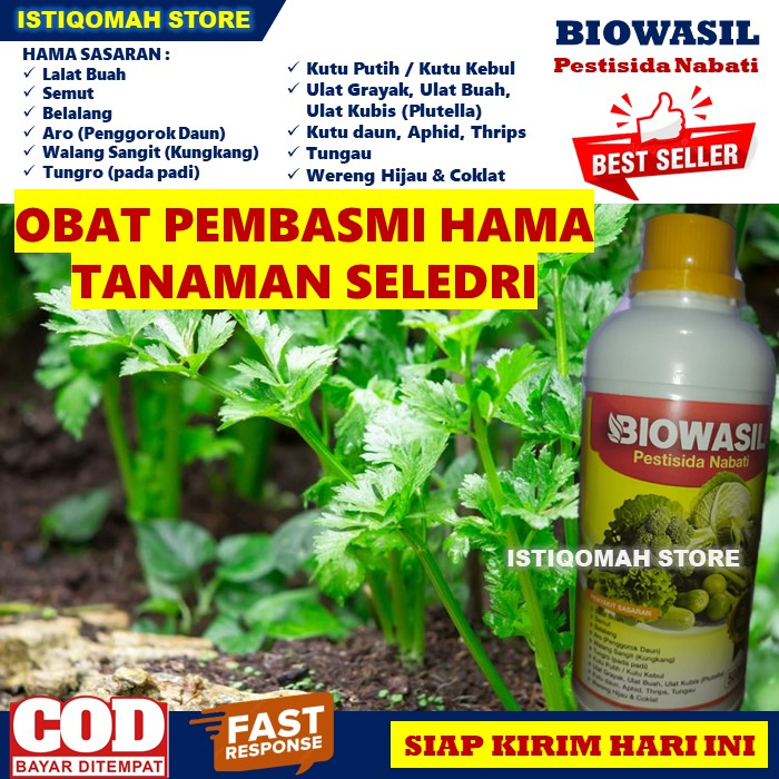 Jual Obat Semprot Hama Tanaman Seledri BIOWASIL 500ML Pestisida Nabati ...