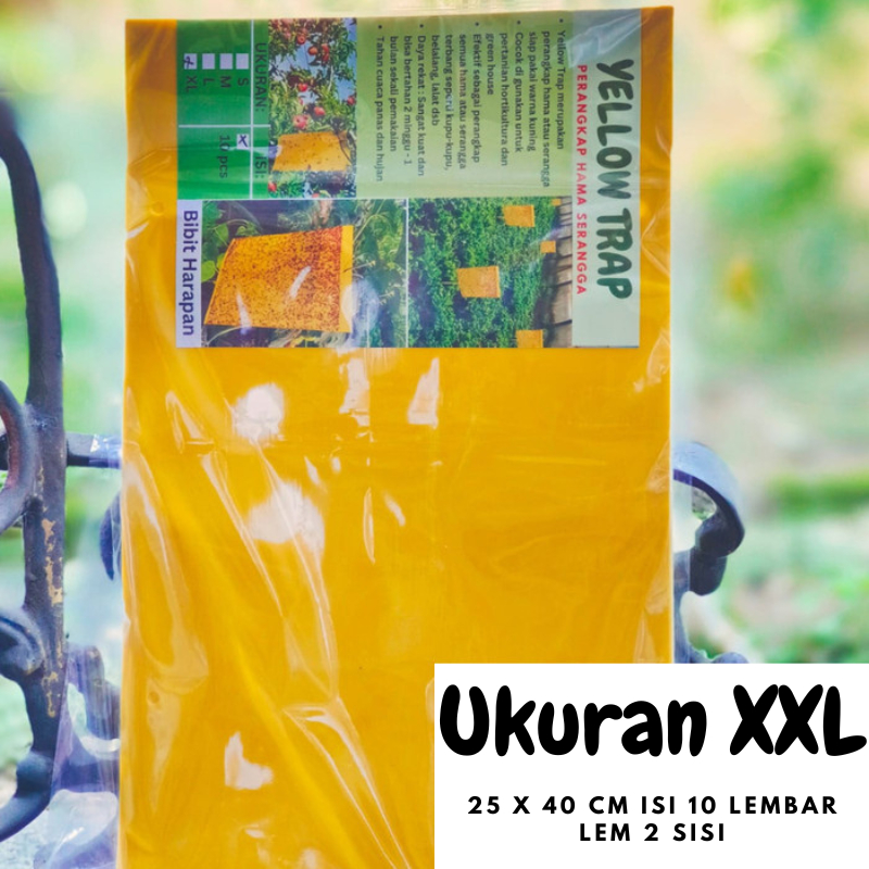 Jual Yellow Trap Perangkap Lem Lalat Buah Kertas Hama Serangga Tanaman ...