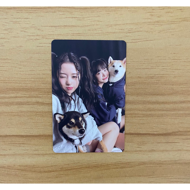 Jual lesserafim unforgiven weverse album, photocard lesserafim weverse ...