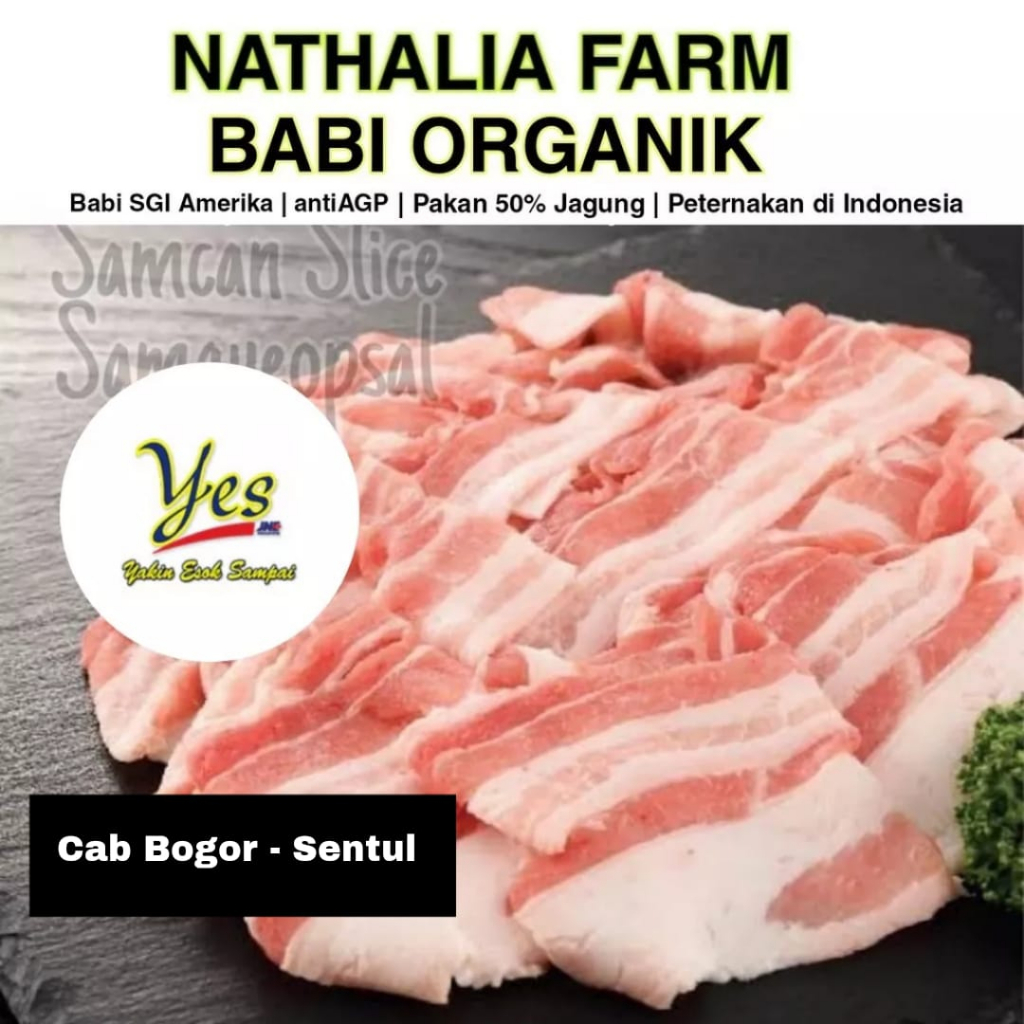 Jual Babi Organik SAMCAN SLICE SAMGYEOPSAL300 gr daging babi organik ...