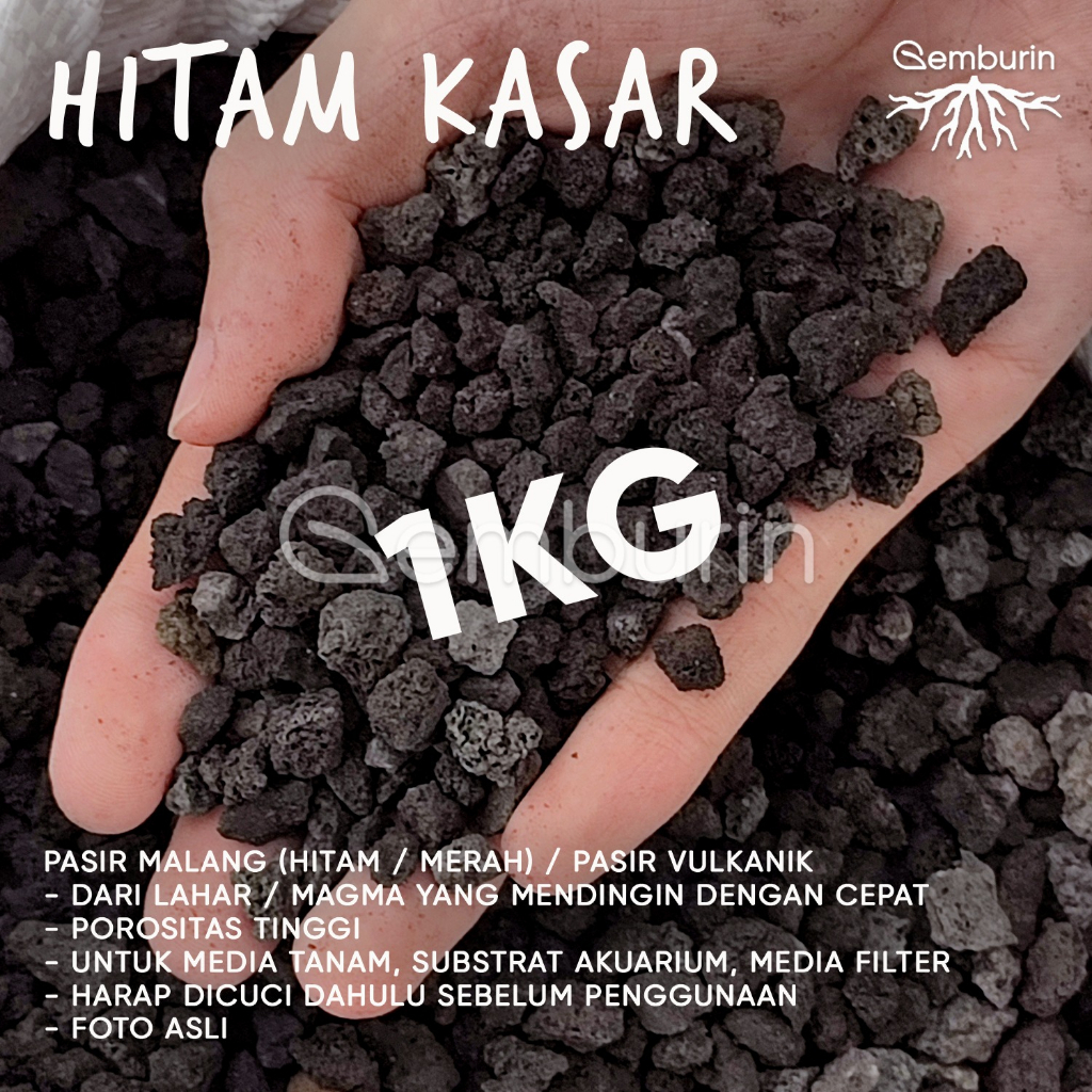 Jual PASIR MALANG HITAM KASAR 1KG / PASMAL SUBSTRAT MEDIA TANAM ORGANIK ...