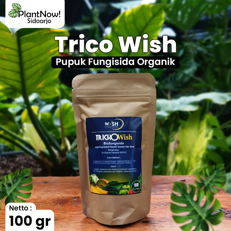 Jual Pestisida Organik / BioFungisida TRICHOWISH Trichoderma - 100 gram ...