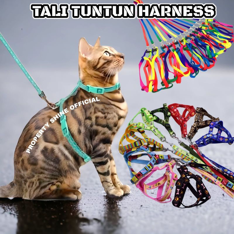 Jual TALI PET TUNTUN HARNESS KUCING | Shopee Indonesia