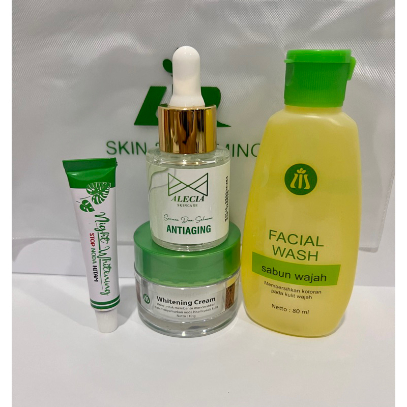 Jual Liz Skincare Paket Pemutih Salep + New Serum DNA salmon Anti Aging (BPOM&HALAL) | Shopee ...