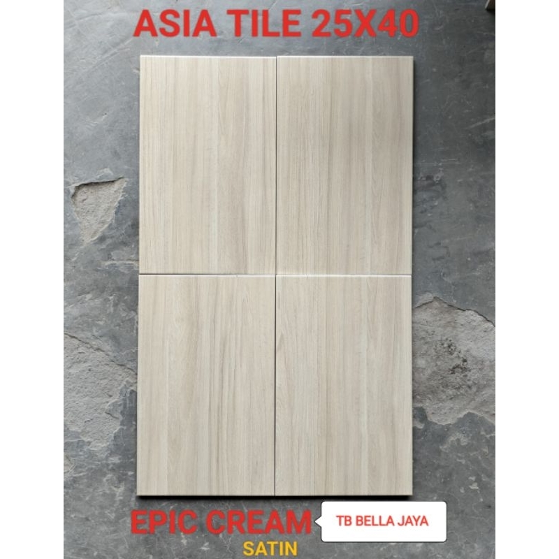 Jual Keramik Dinding Satin Asia Tile Epic Series Ukuran 2540 | Shopee ...