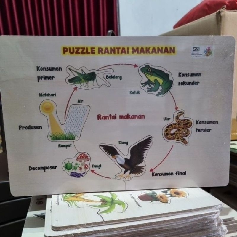 Jual Puzzle anak Puzzle Rantai Makanan | Shopee Indonesia