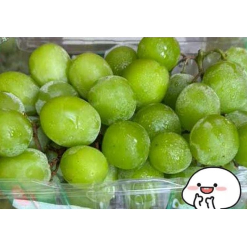Jual Anggur Shine Muscatt Anggur hijau sultan green grape box 500gr ...