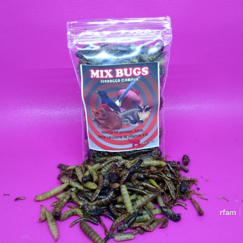Jual MIX BUGS 15 Gram SERANGGA KERING CAMPUR PAKAN BURUNG ARWANA PREDATOR | Shopee Indonesia