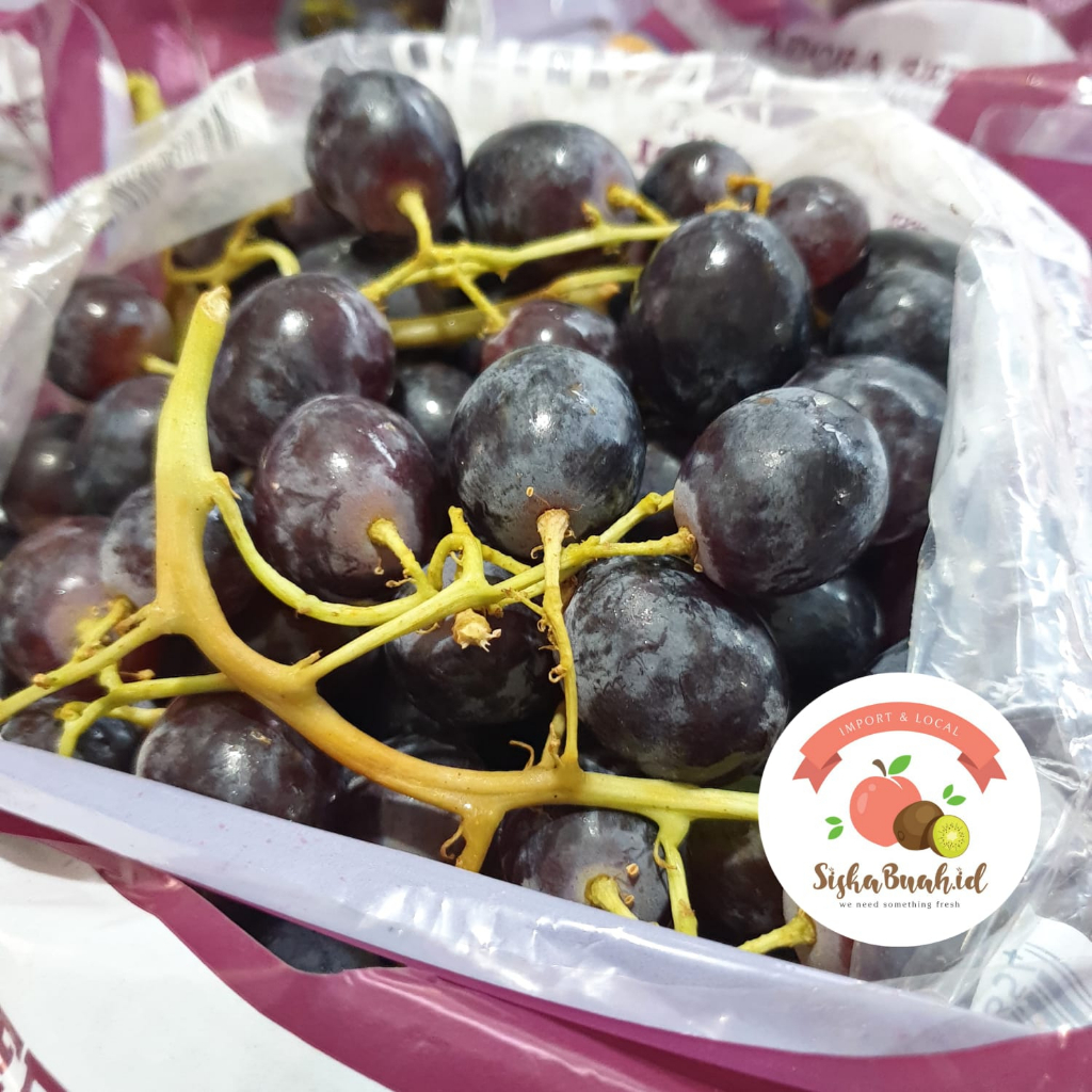 Jual ANGGUR ADORA | ANGGUR HITAM | ANGGUR SEEDLESS (MANIS NONBIJI ...