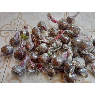 Jual Buah Bit Terlengkap & Harga Terbaru Maret 2026 | Shopee Indonesia