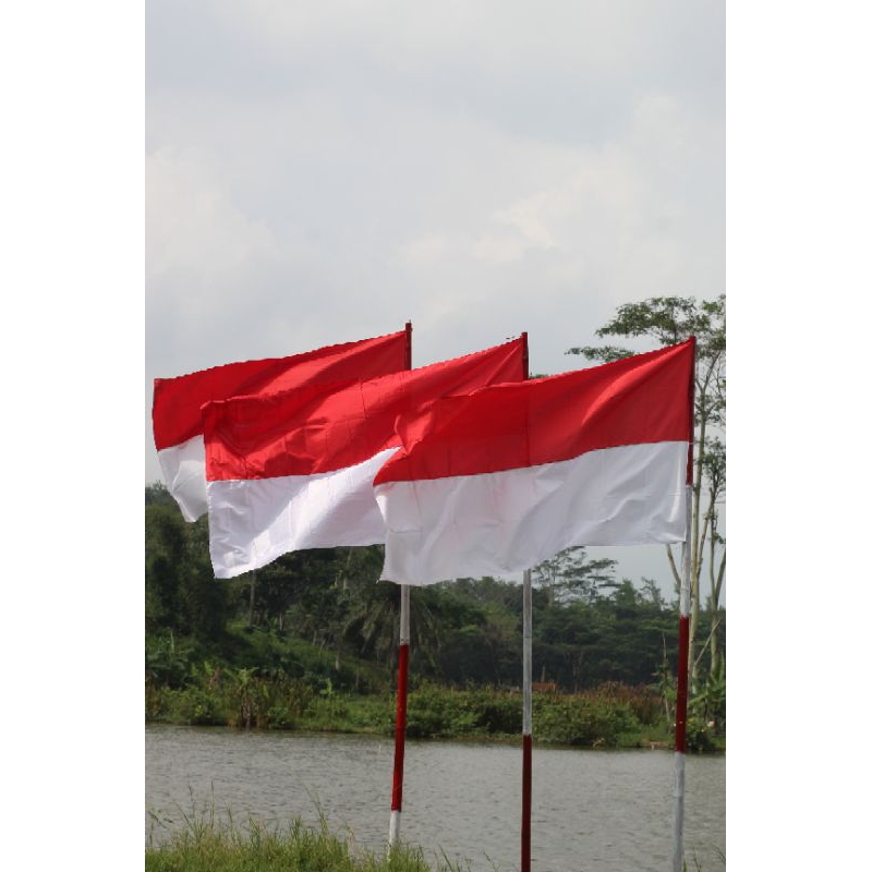 Jual BENDERA MERAH PUTIH PREMIUM | Shopee Indonesia