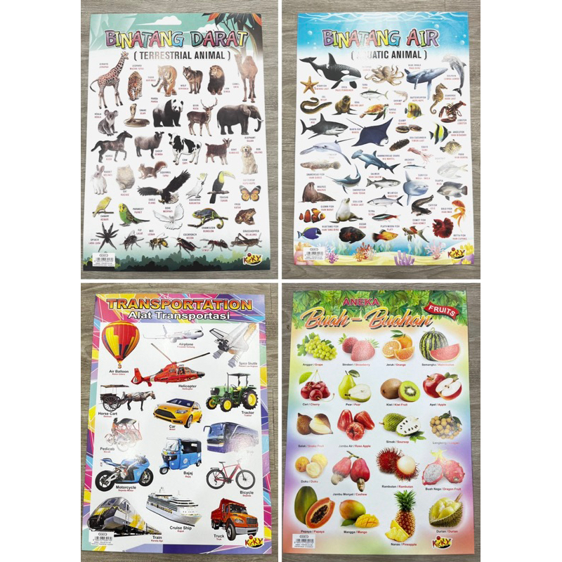 Jual Poster Edukasi / Poster Edukatif Anak / Mainan Edukasi Anak ...