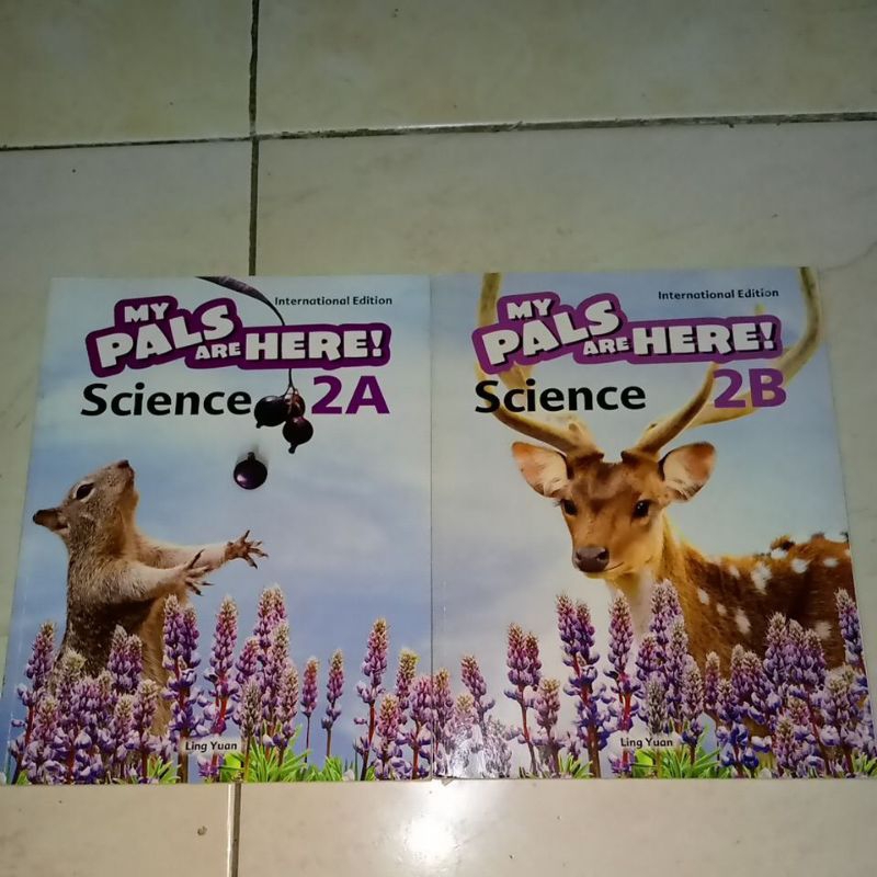 Jual buku MY PALS ARE HERE 2A dan 2B bekas | Shopee Indonesia
