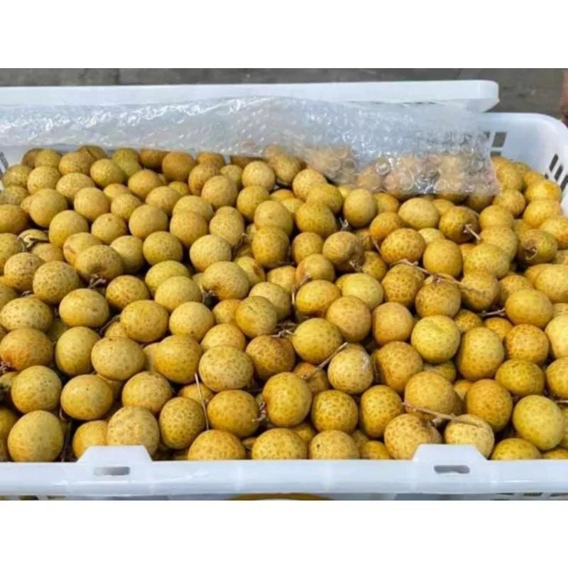 Jual Buah Kelengkeng Gold / Lengkeng Emas Manis - 500 gr / 1kg | Shopee ...