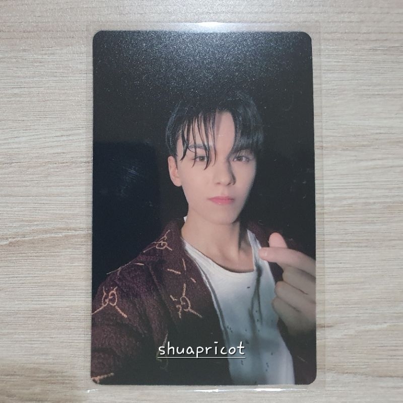 Jual PHOTOCARD PC SEVENTEEN VERNON FML LUCKYDRAW POWERSTATION PWS ...