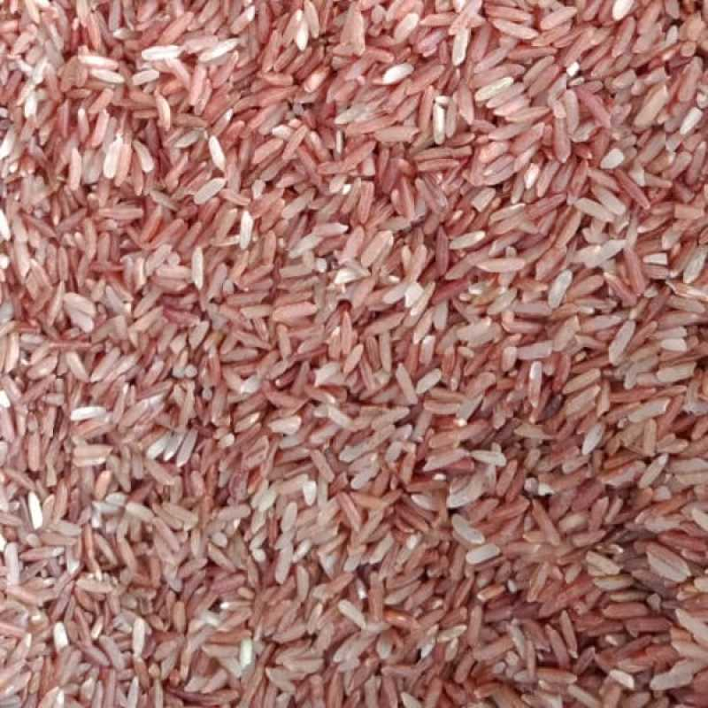 Jual beras merah 1kg | Shopee Indonesia