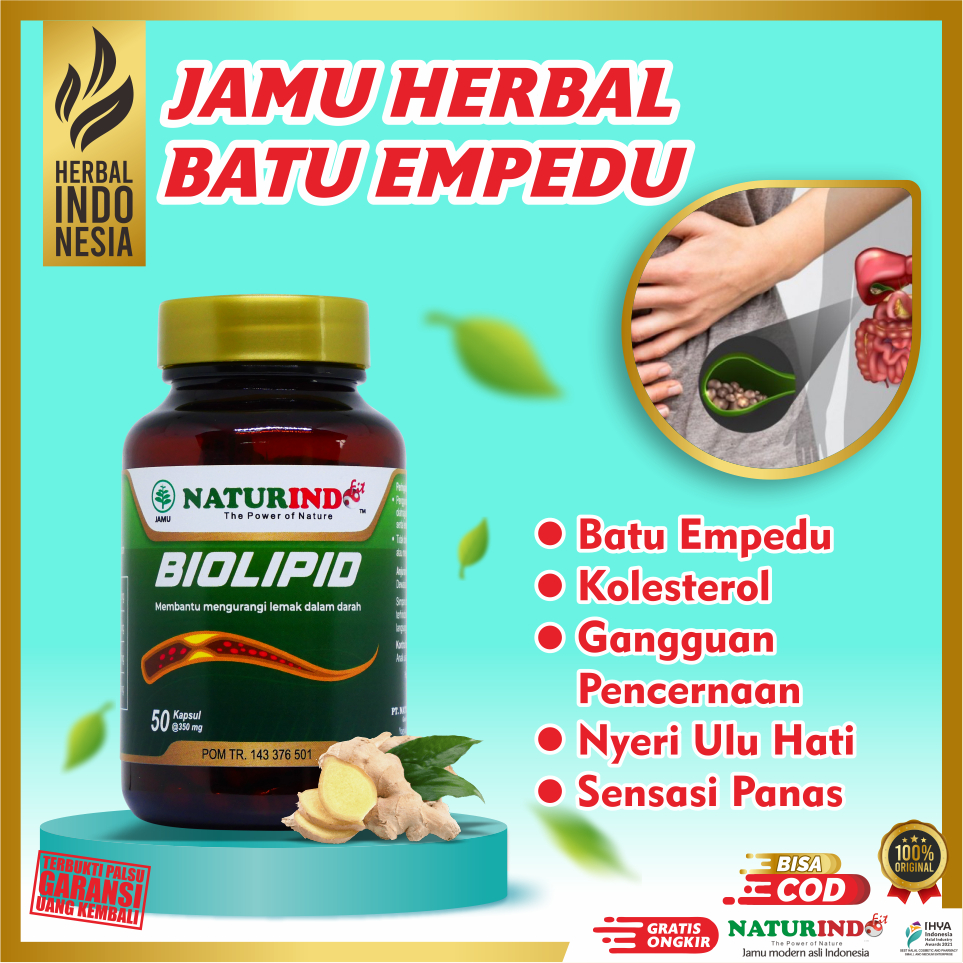 Jual Obat Batu Empedu Paling Ampuh Herbal Batu Empedu Biolipid ...