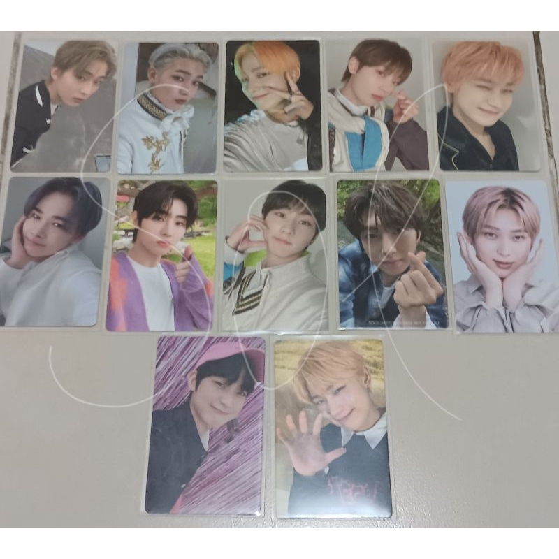 Jual sunoo enhypen photocard pc maung chibi | Shopee Indonesia