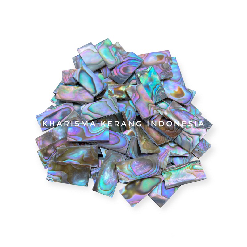 Jual KHARISMA KERANG INDONESIA ABALONE SHELL MOSAIC TILES 10x20mm ...